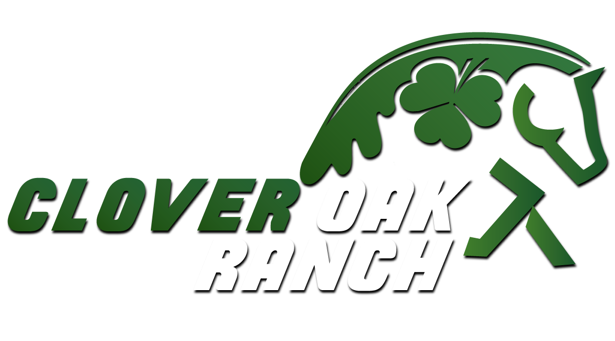 Clover Oak Ranch – Rooted in Excellence. Leading By Example.