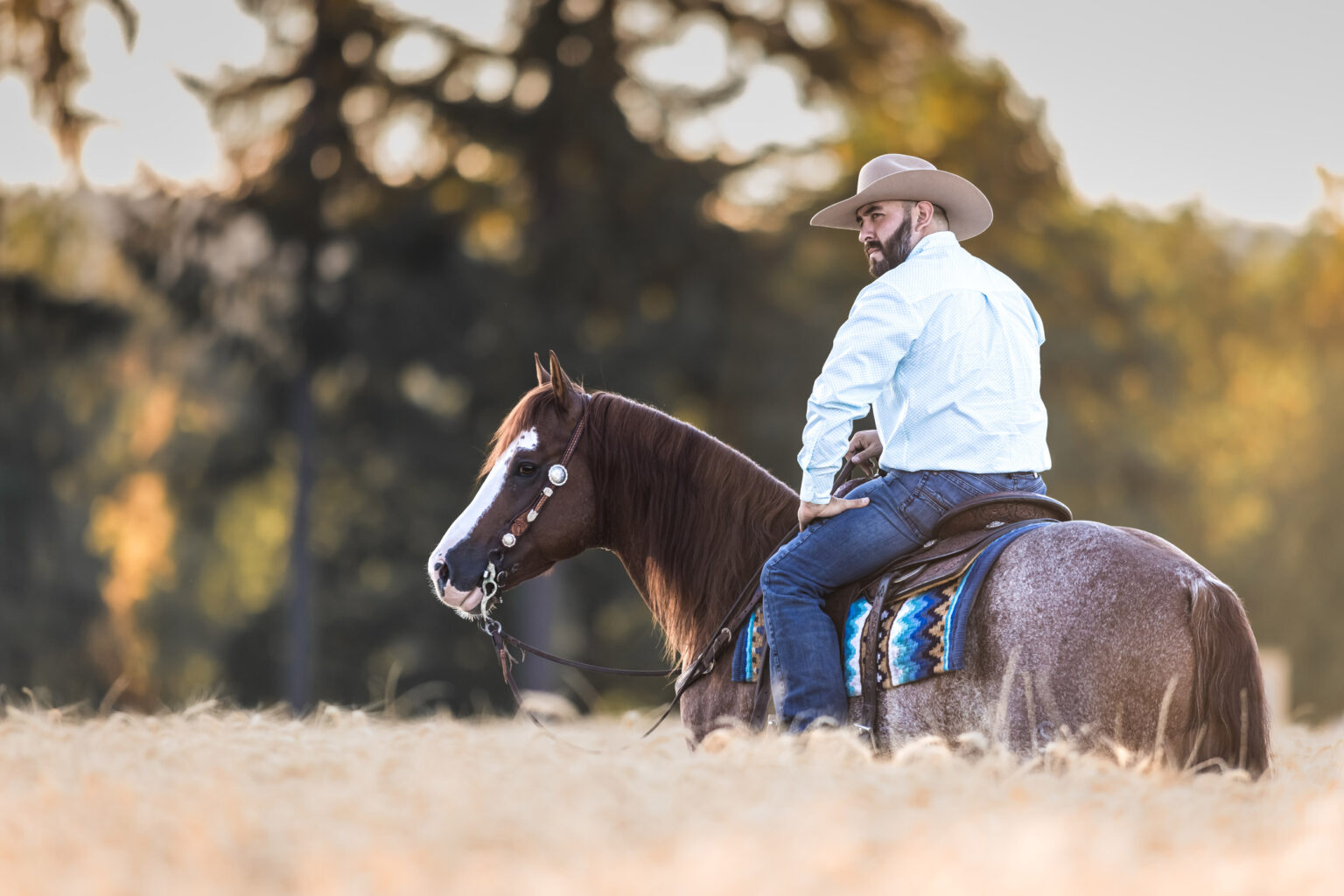 Clover Oak Ranch – Rooted in Excellence. Leading By Example.